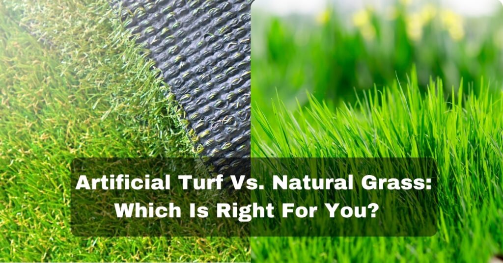 Artificial Turf Vs Natural Grass: Which Is Right For You?