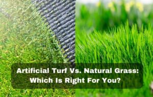 Artificial Turf Vs Natural Grass: Which Is Right For You?